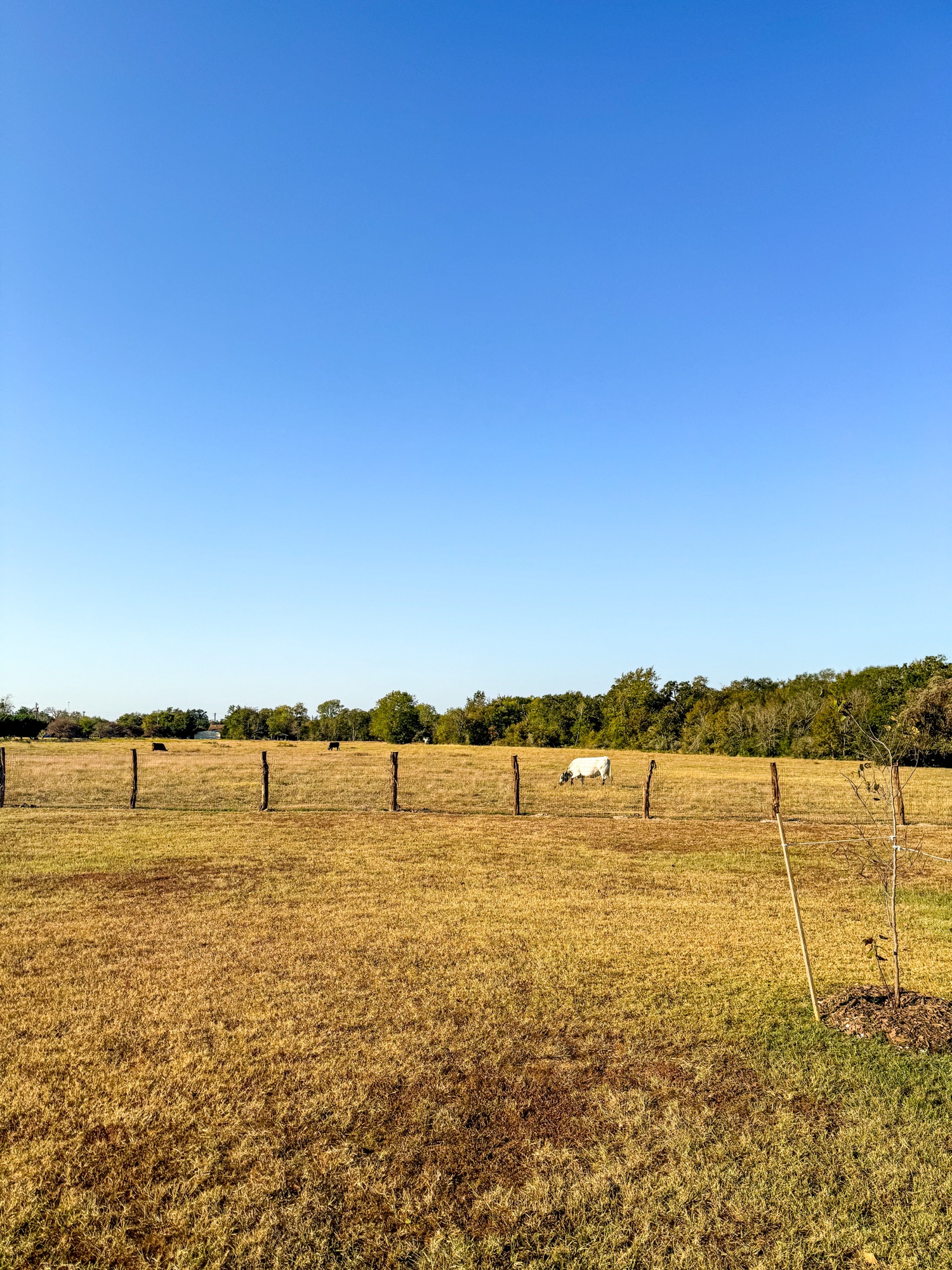 EXPLORE BRYAN-COLLEGE STATION: THE PERFECT WEEKEND GETAWAY – Find New ...