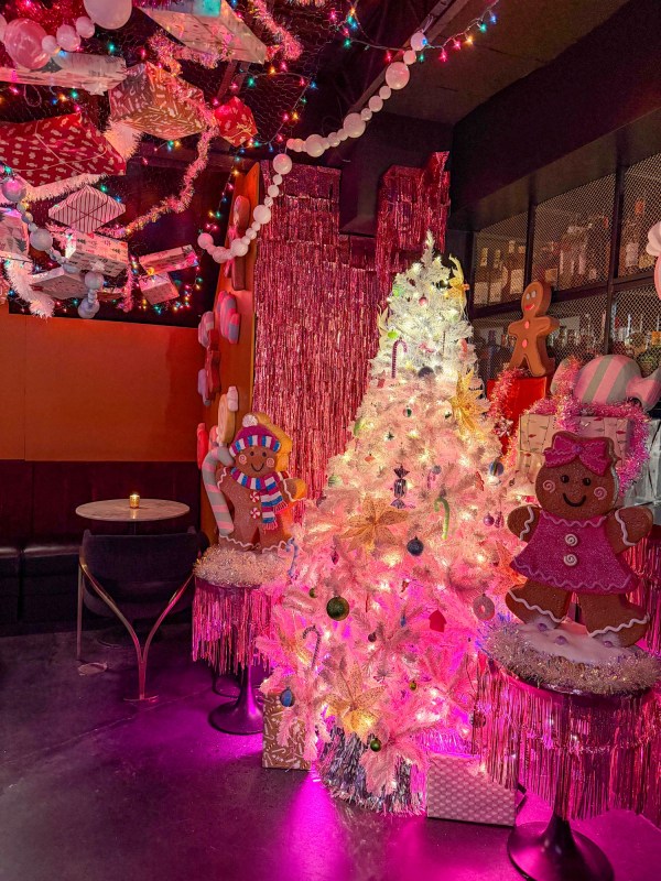 EXPLORE HOUSTON’S BEST CHRISTMAS ATTRACTIONS – Find New Adventures